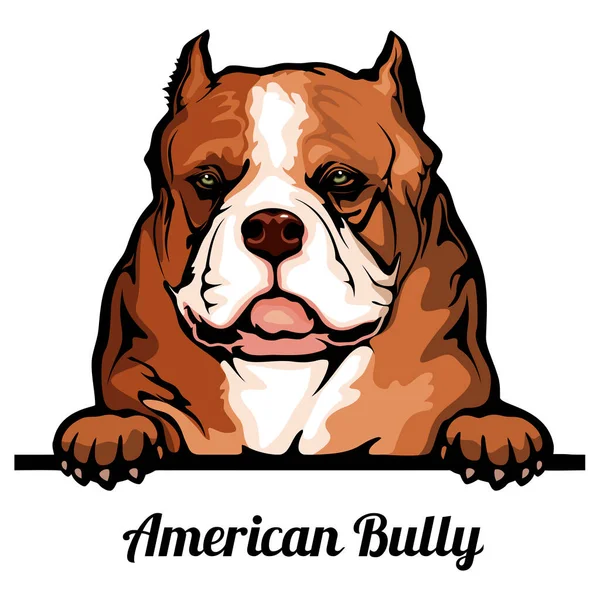 American bully logo Vector Art Stock Images | Depositphotos