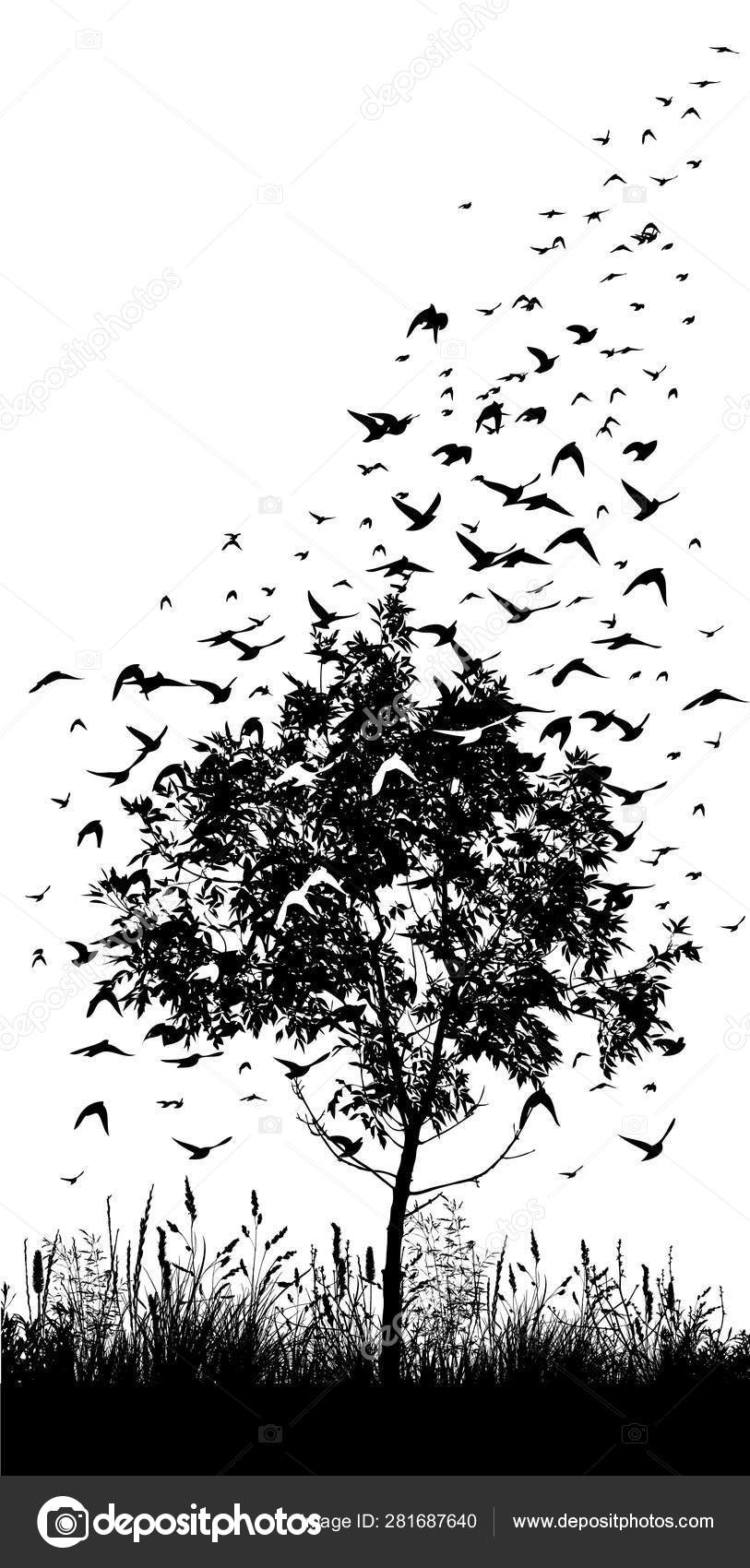 Tree with flying birds. Vector illustration — Stock Vector © maryia777 ...