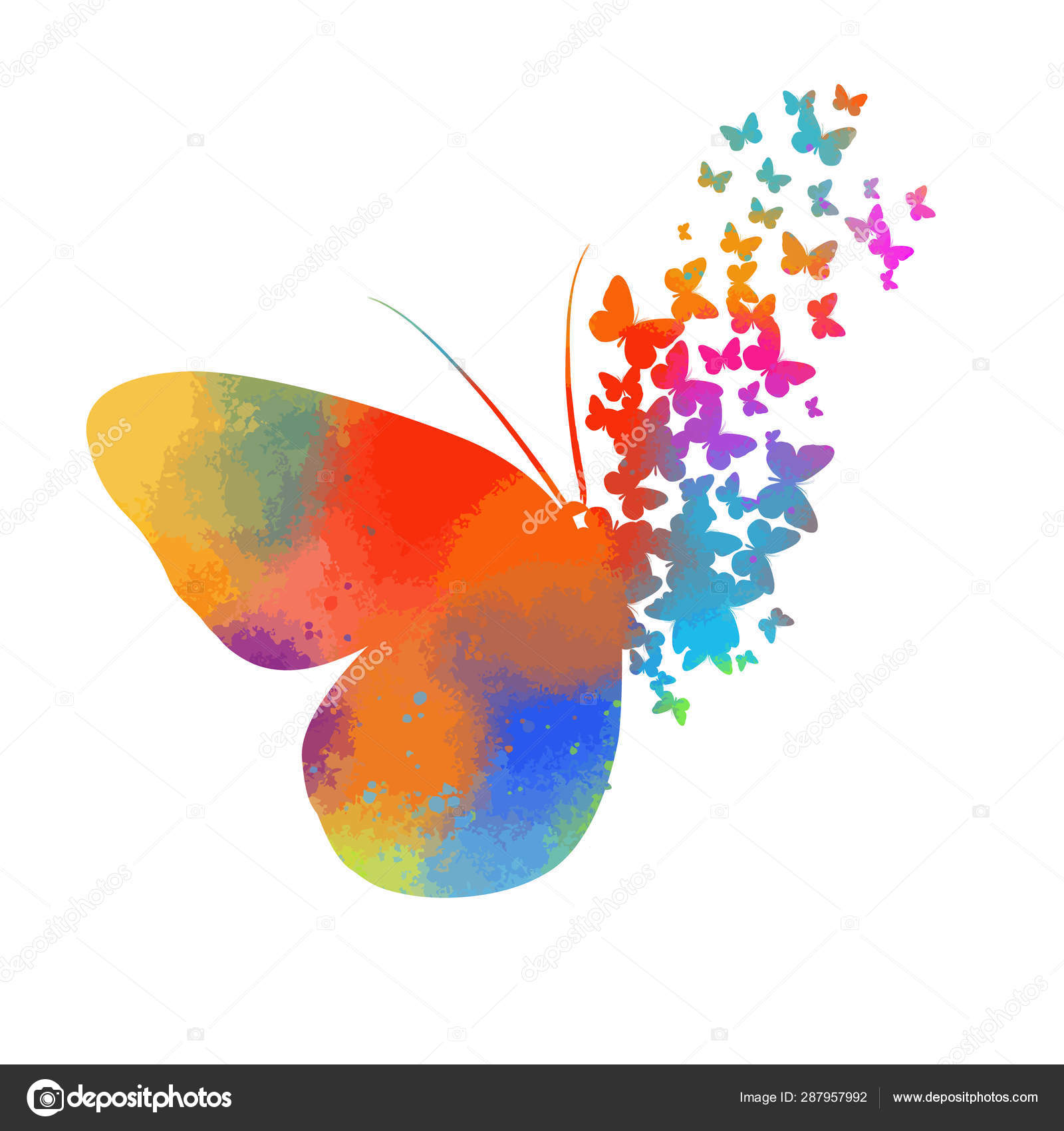 Abstract Butterfly
