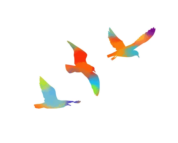 Multi-colored birds. A flock of flying rainbow birds. Vector ...