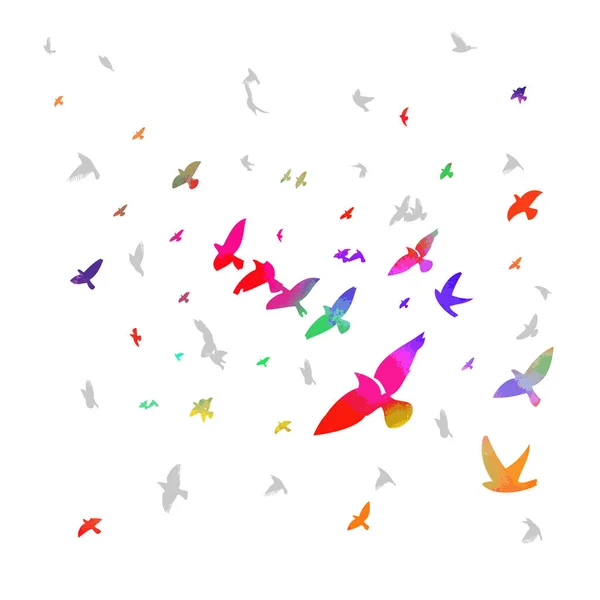 Multi-colored birds. A flock of flying rainbow birds. Vector ...