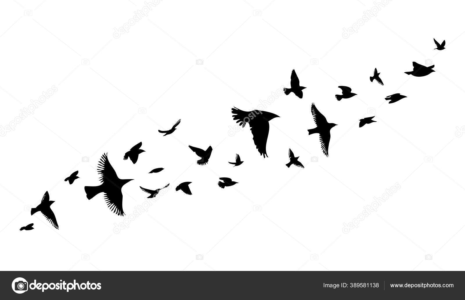 Flock Of Birds Vector