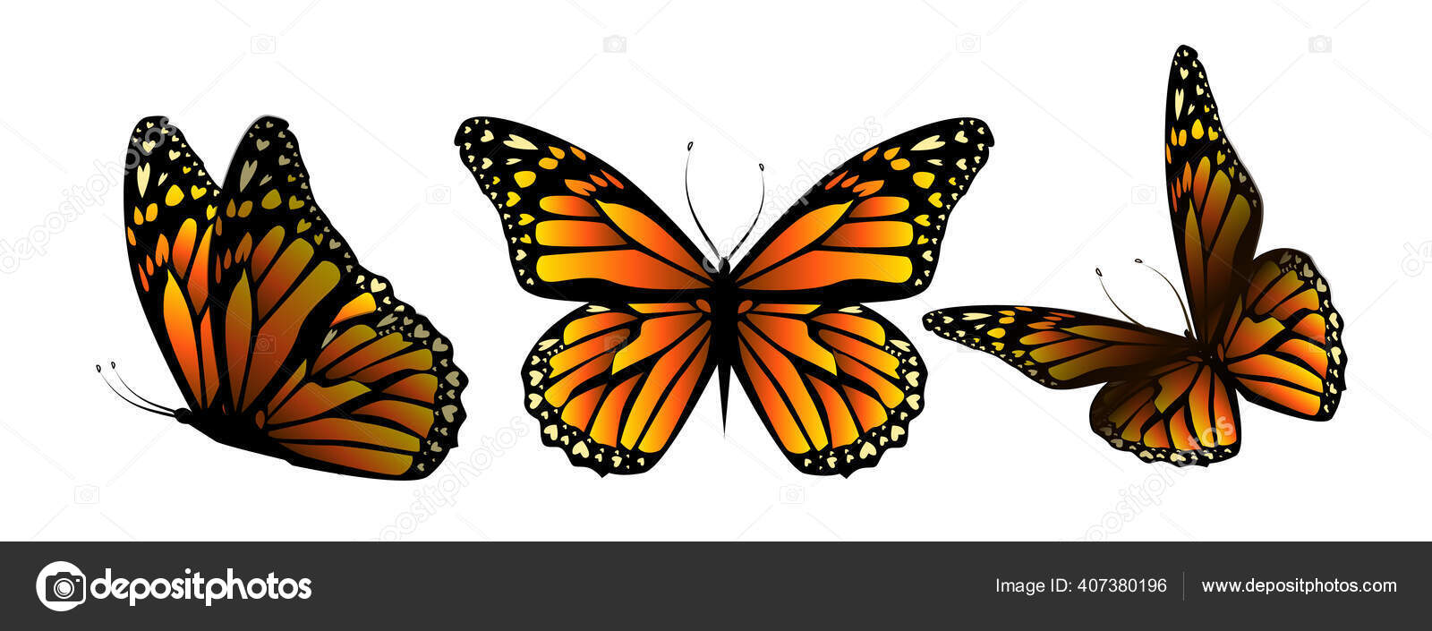 Orange Butterfly Flying