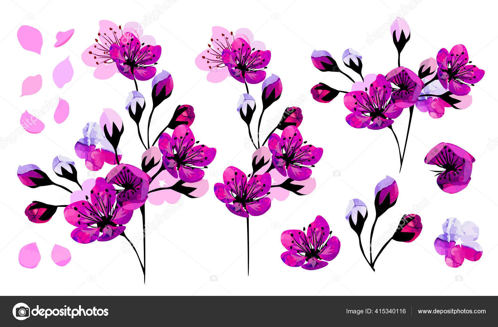 Sakura Flowers Set Items Vector Illustration Stock Vector by ©maryia777 ...
