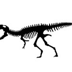 T rex dinosaurs bones negative space silhouette illustrations set Stock Vector Image by ...