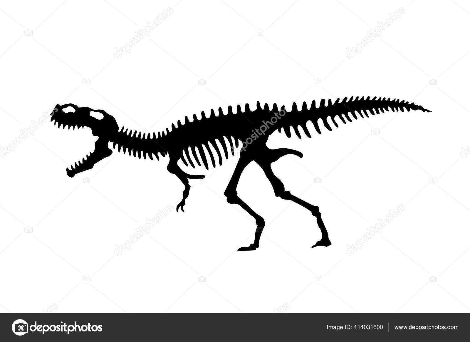 Vector silhouette of dinosaurs skeleton. Hand drawn dino skeleton ...