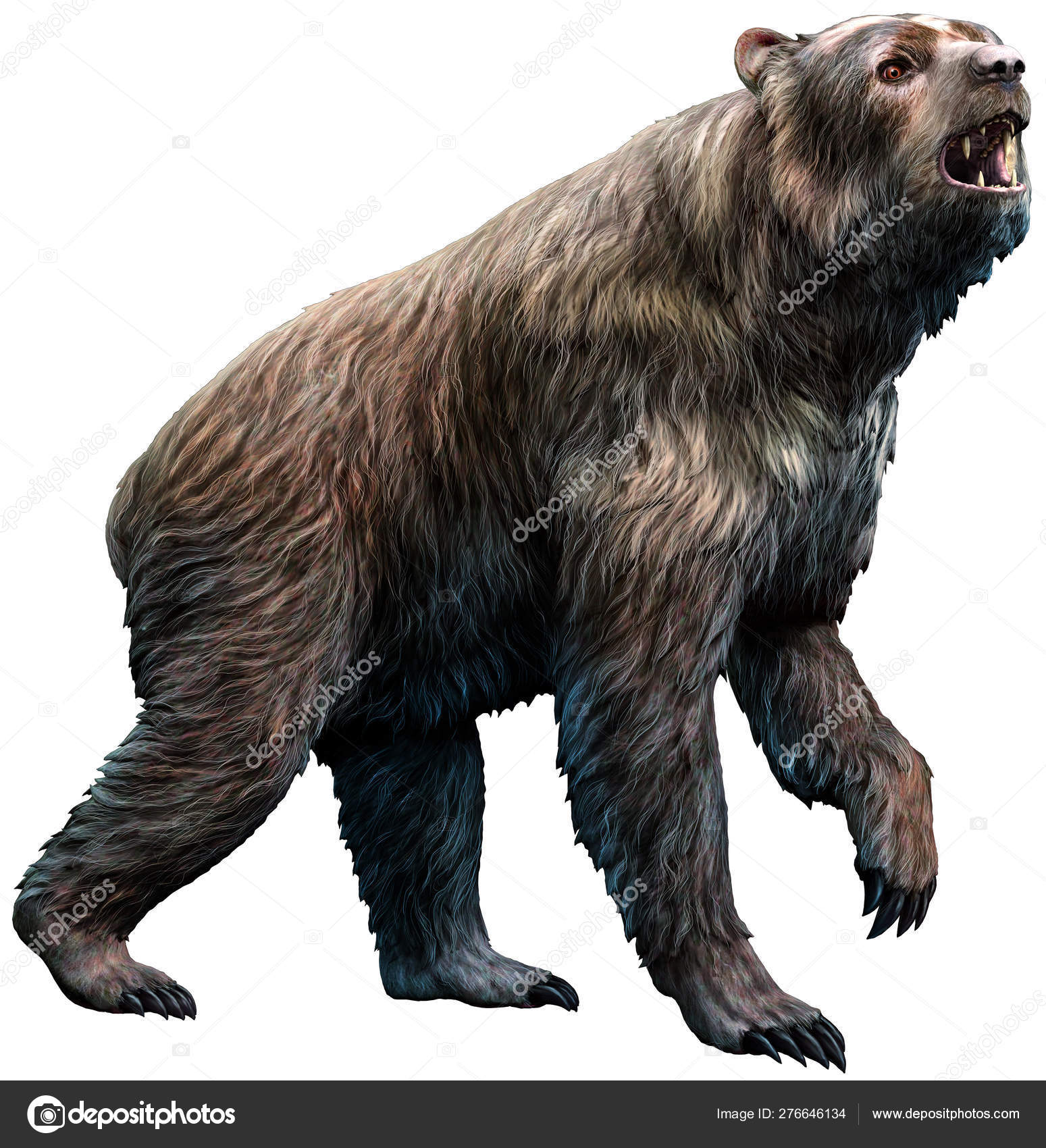 Short Faced Bear Size