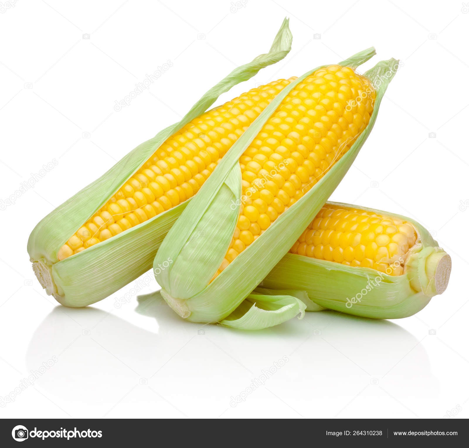 Three corn cob isolated on white background Stock Photo by ©Hyrman ...
