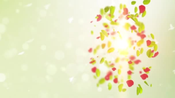 Spring in the air, slow motion spring background — Stock Video ...