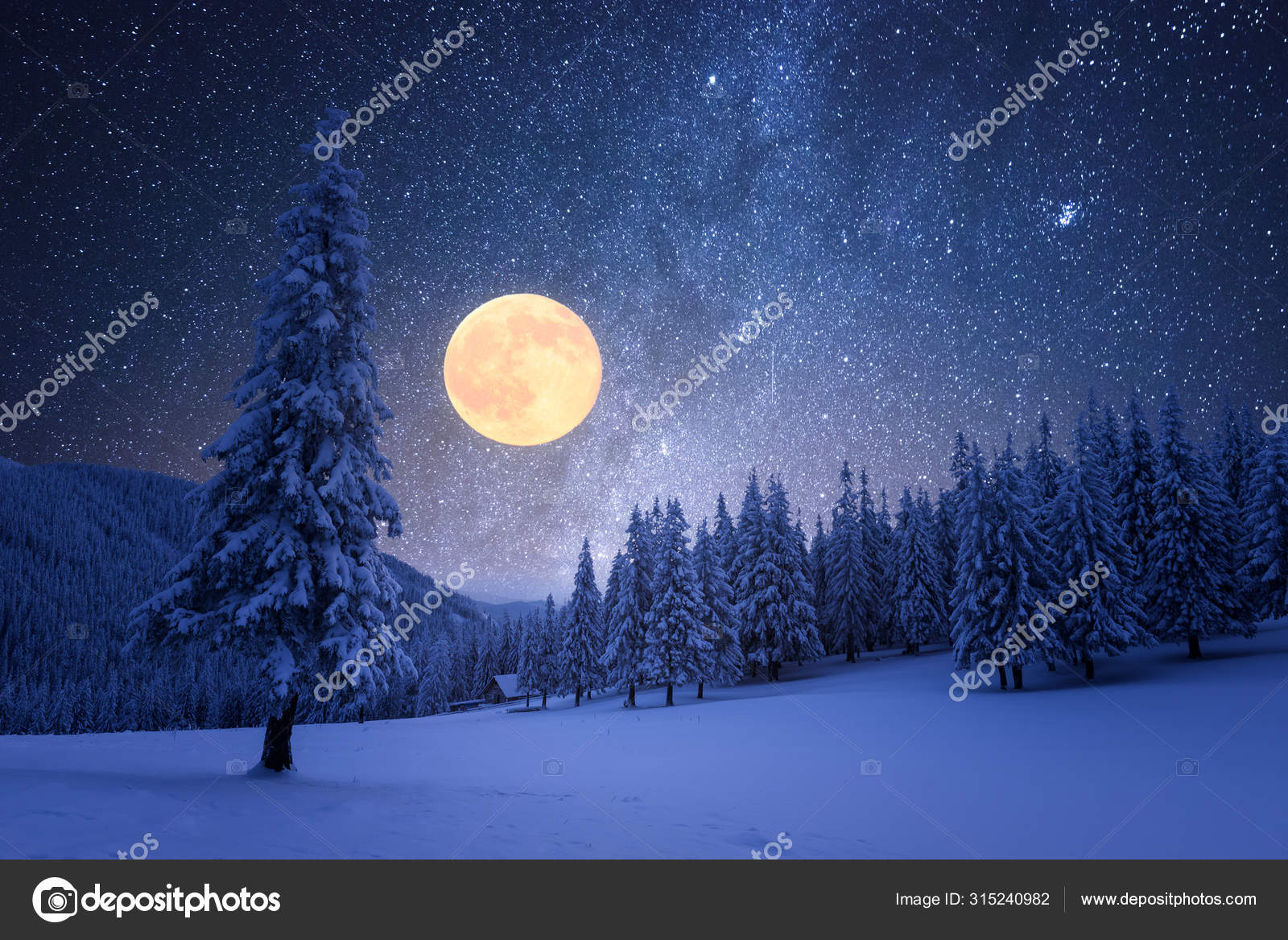 Full Moon Night Forest Scene