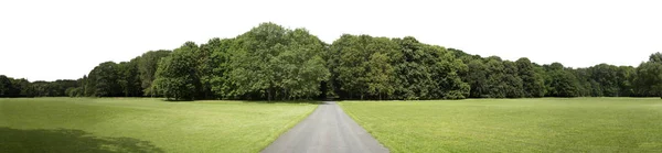 Treeline Stock Photos, Royalty Free Treeline Images | Depositphotos