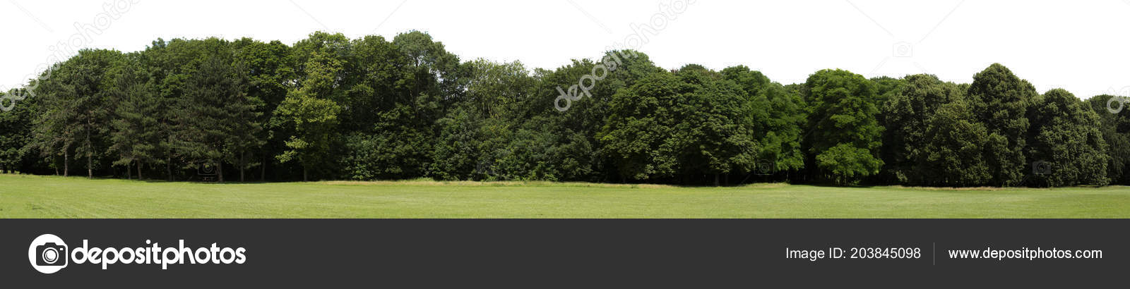 Treeline Isolated White Background Stock Photo by ©perig76 203845098
