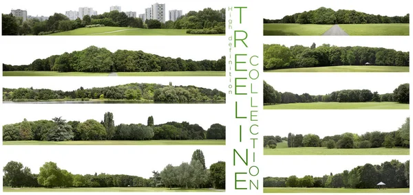 Treeline Stock Photos, Royalty Free Treeline Images | Depositphotos
