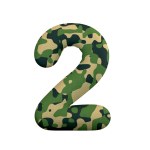 Camouflage Number Render Font Camouflage Texture Isolated White ...