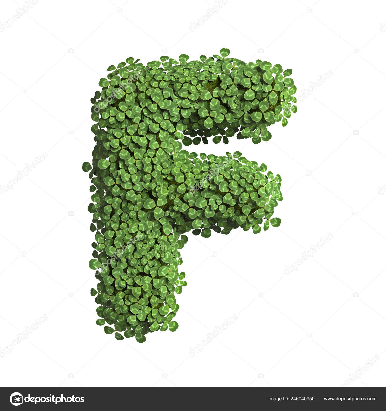 Clover Letter Capital Spring Font Isolated White Background Alphabet ...