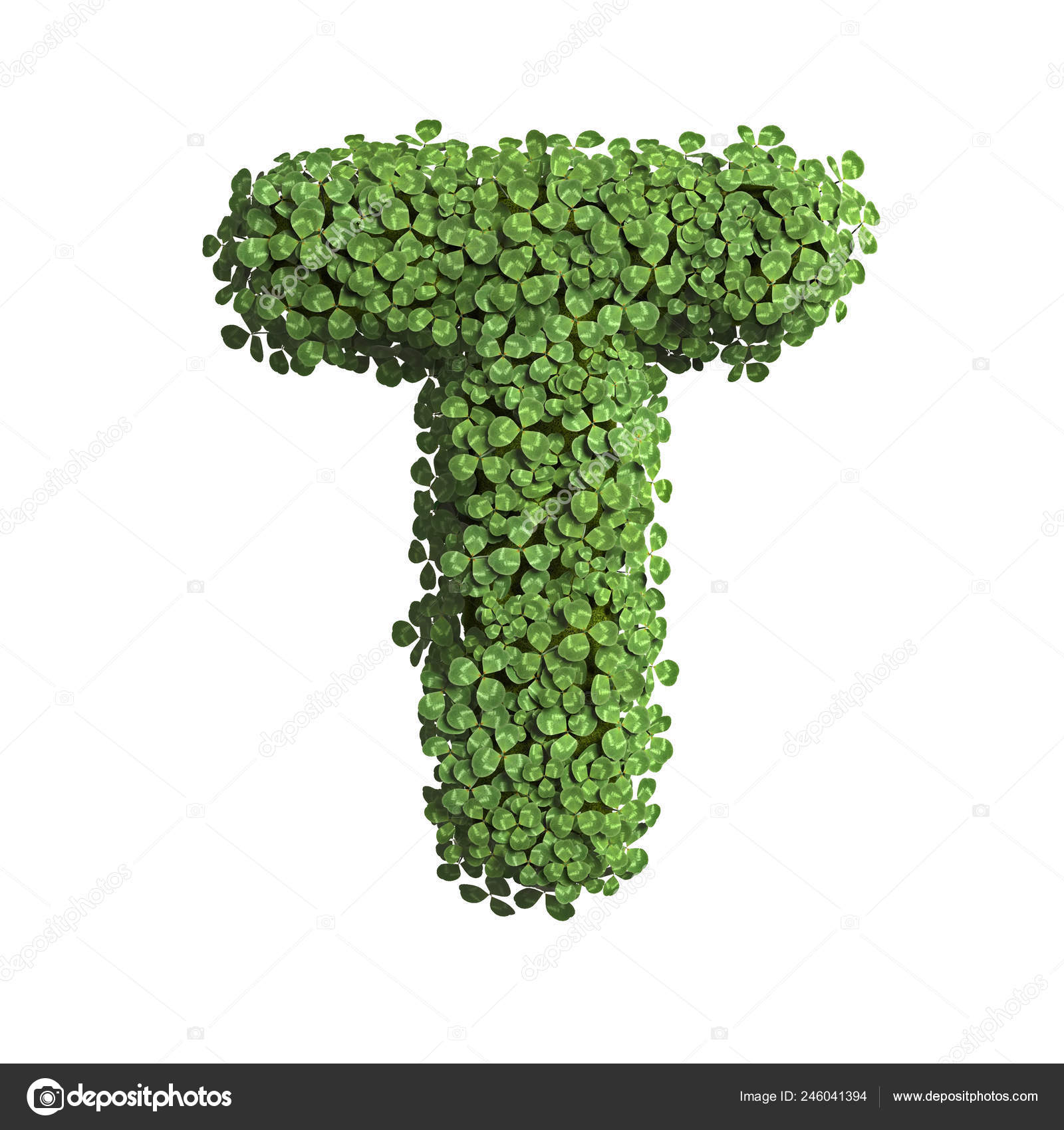 Clover Letter Capital Spring Font Isolated White Background Alphabet ...