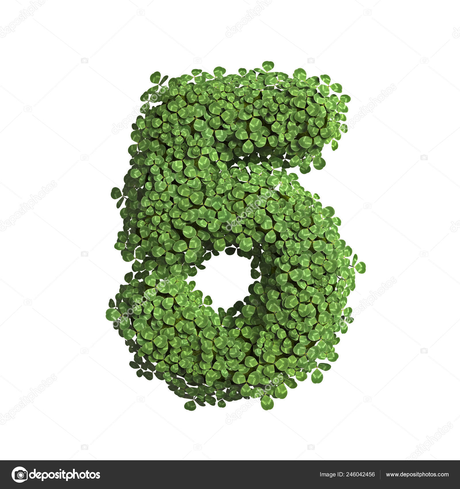 Clover Number Spring Digit Isolated White Background Alphabet Perfect ...