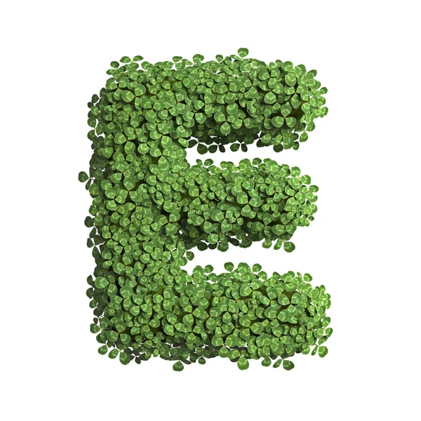 Clover Letter Capital Spring Font Isolated White Background Alphabet ...