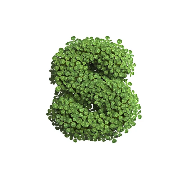 Clover Letter Lowercase Spring Font Isolated White Background Alphabet ...