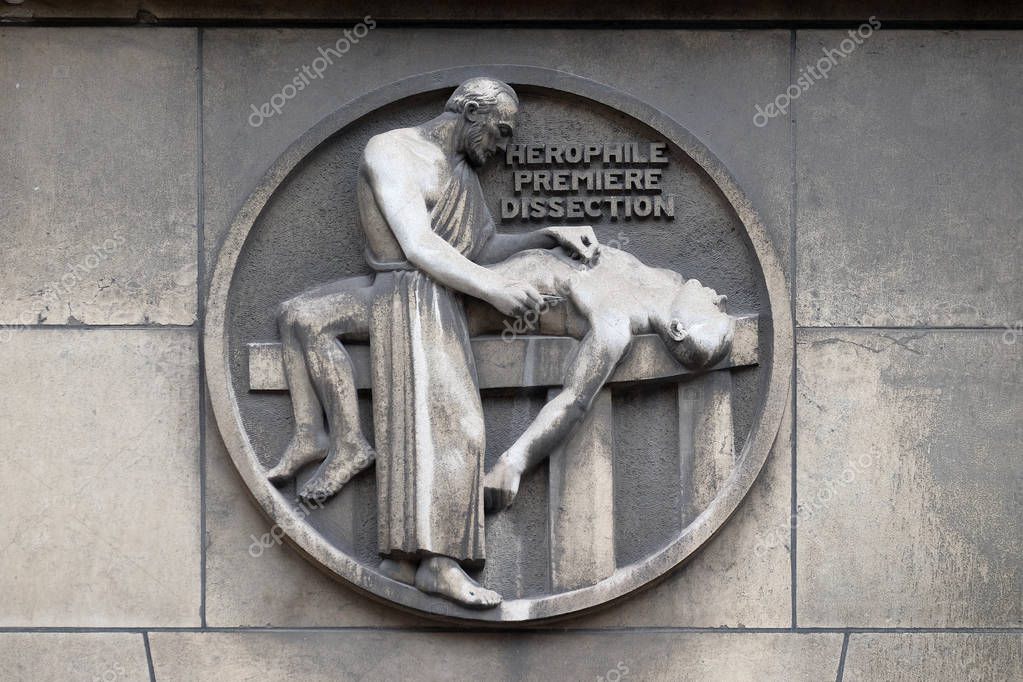Herophilo, la primera disección. Relieve de piedra en el edificio de la ...