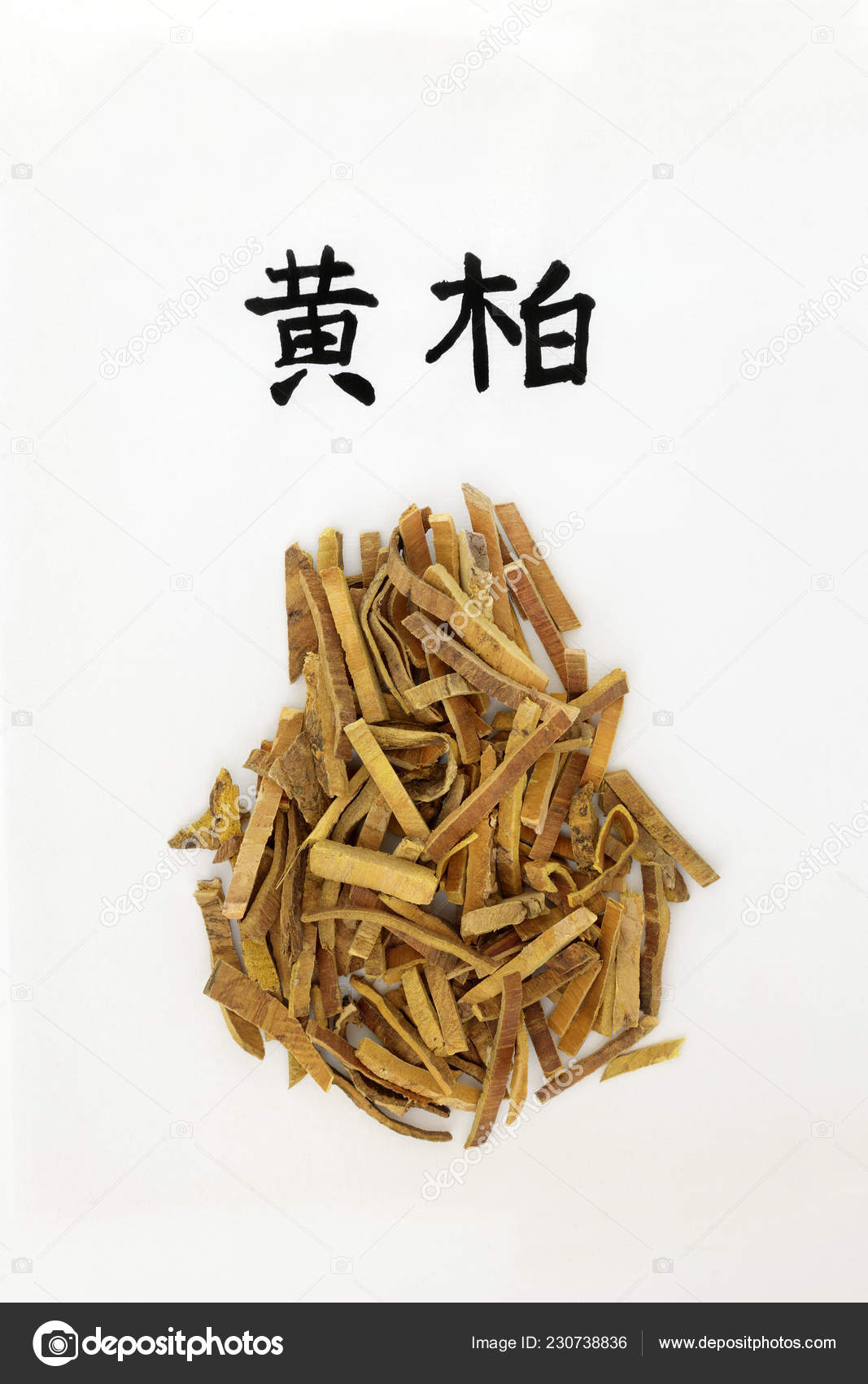 Amur Cork Tree Bark Herb Used Chinese Herbal Medicine Has Stock Photo ...