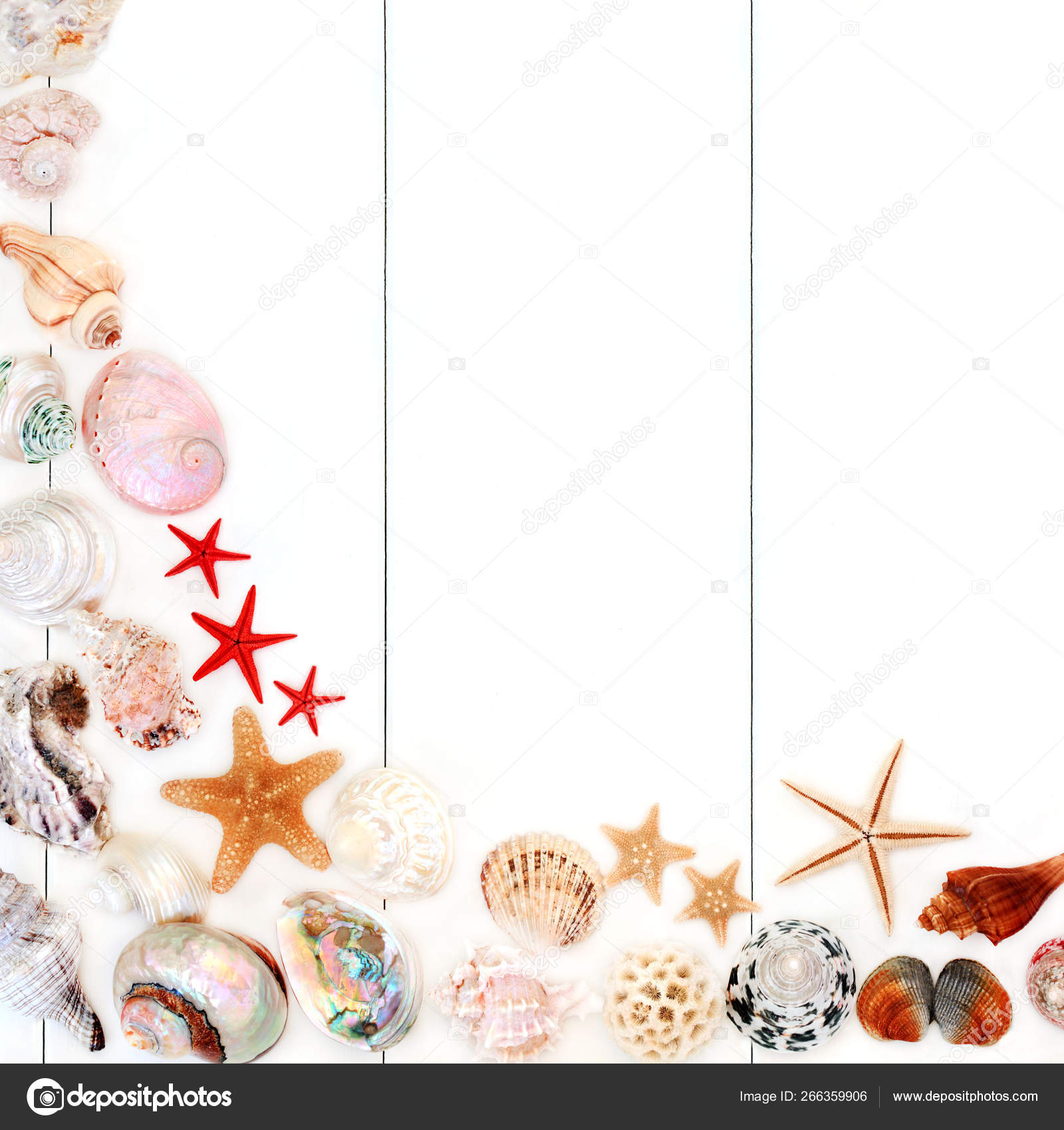 Seashell Background Border Stock Photo by ©marilyna 266359906