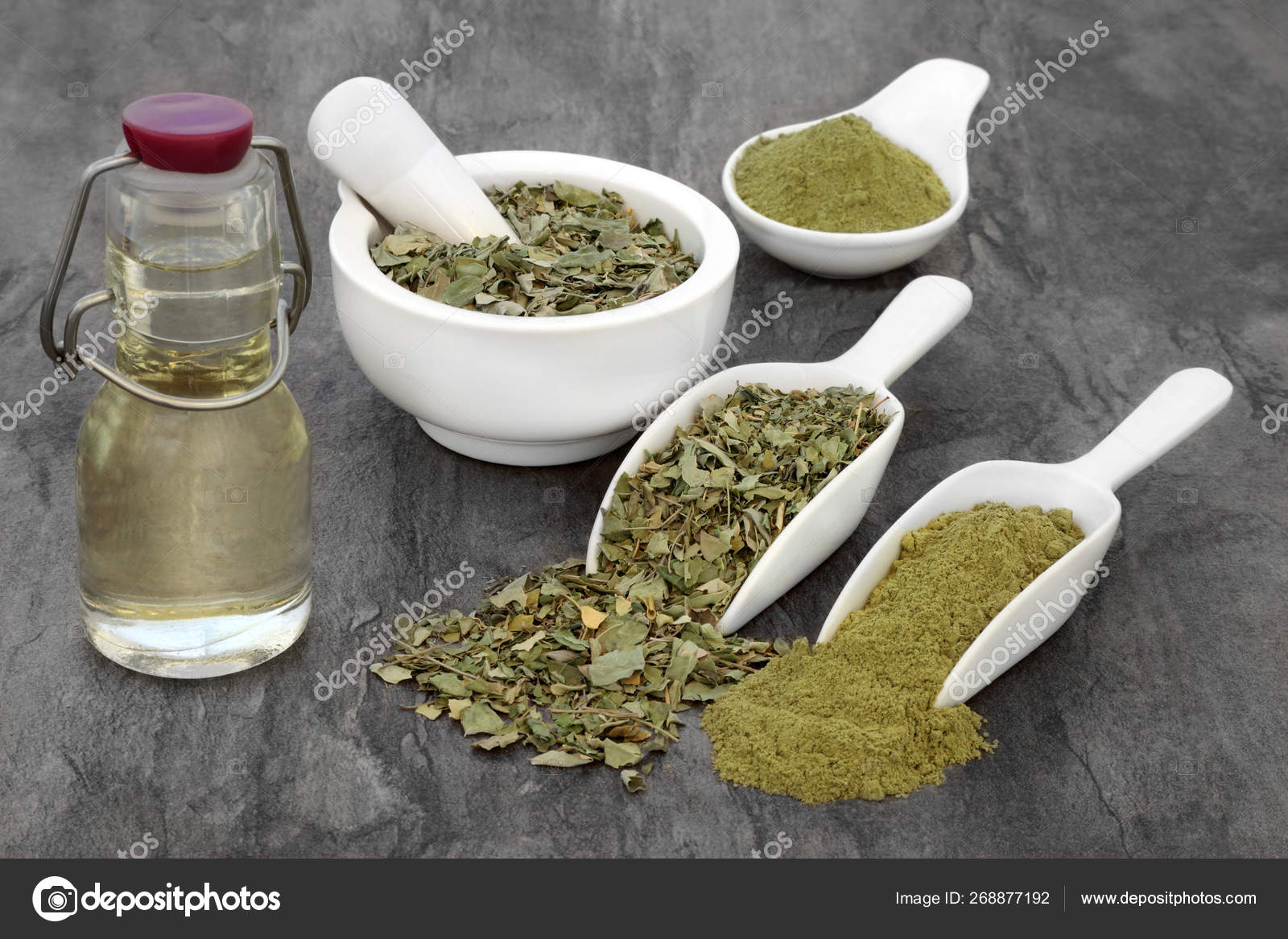 Moringa Herb Leaf Oil and Powder — Stock Photo © marilyna #268877192