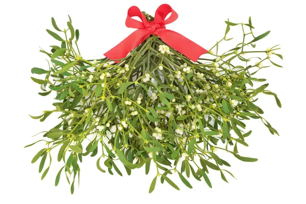 Mistletoe Stock Photos, Royalty Free Mistletoe Images | Depositphotos