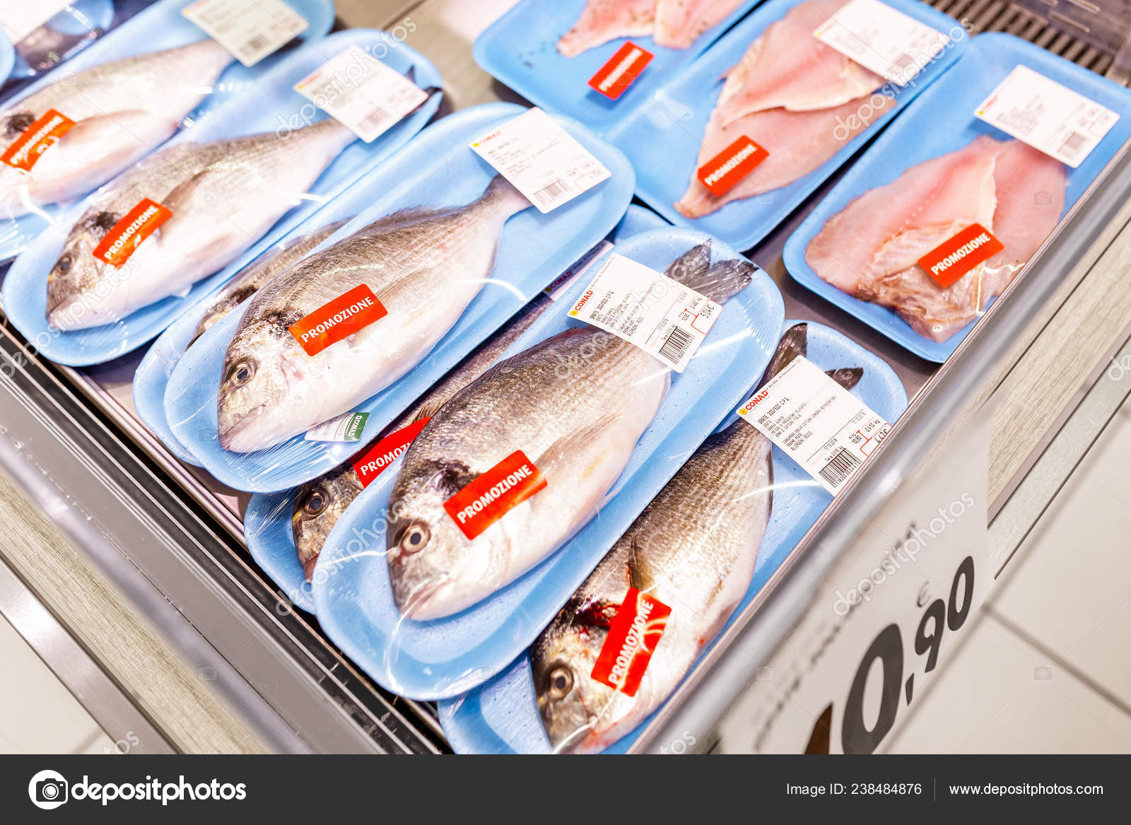 Tesco Fish | ppgbbe.intranet.biologia.ufrj.br