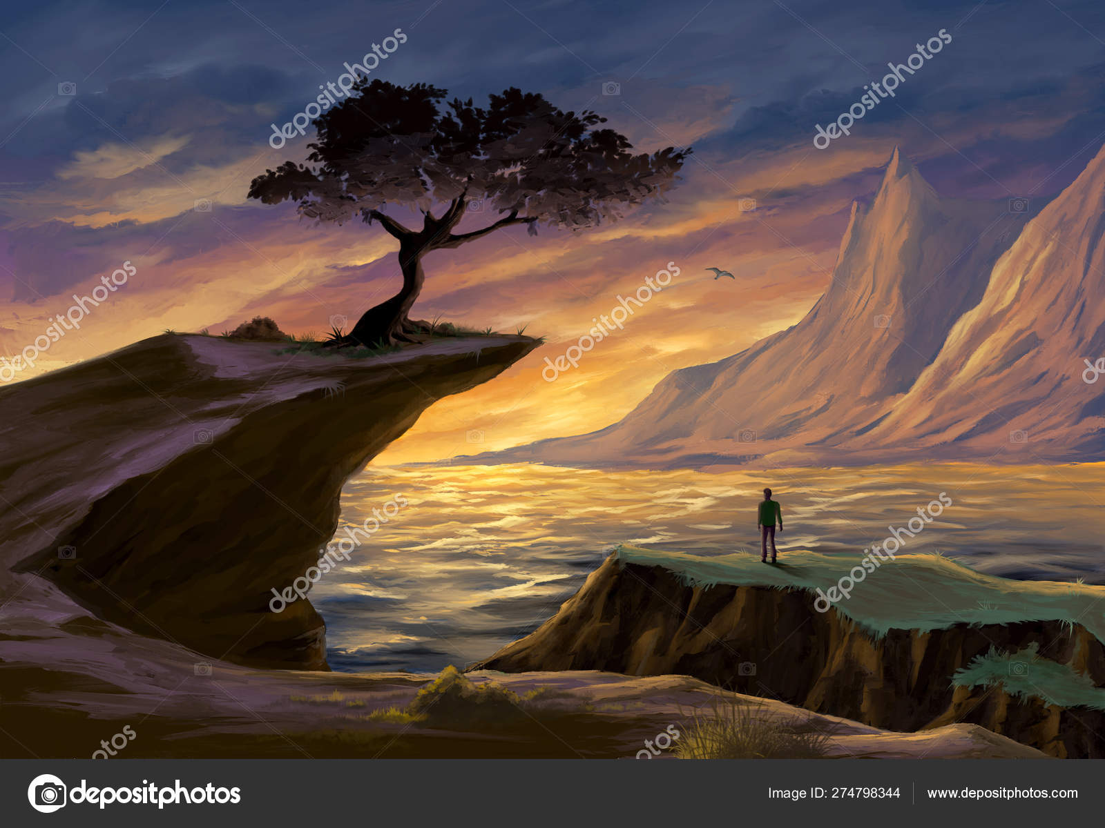 Tree on a sea cliff at sunset Stock Photo by ©Andreus 274798344