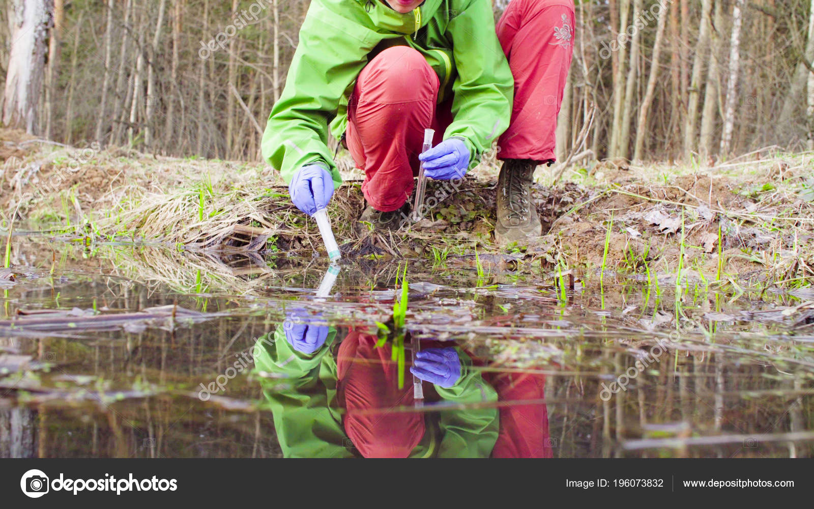Scientist ecologist in the forest taking samples of water — Stock Photo ...