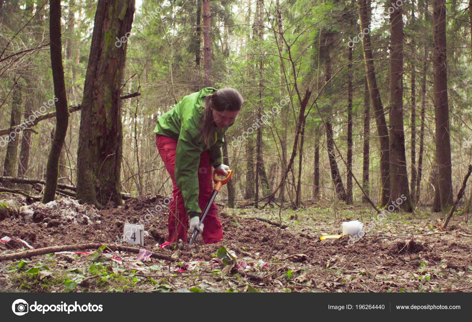 Woman ecologist in the forest digging a soil slit — Stock Photo ...