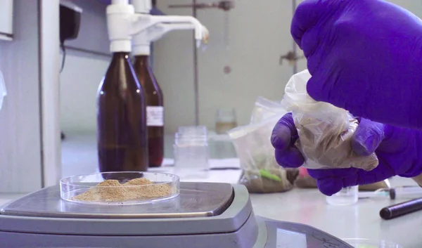 Scientists hands Stock Photos, Royalty Free Scientists hands Images ...