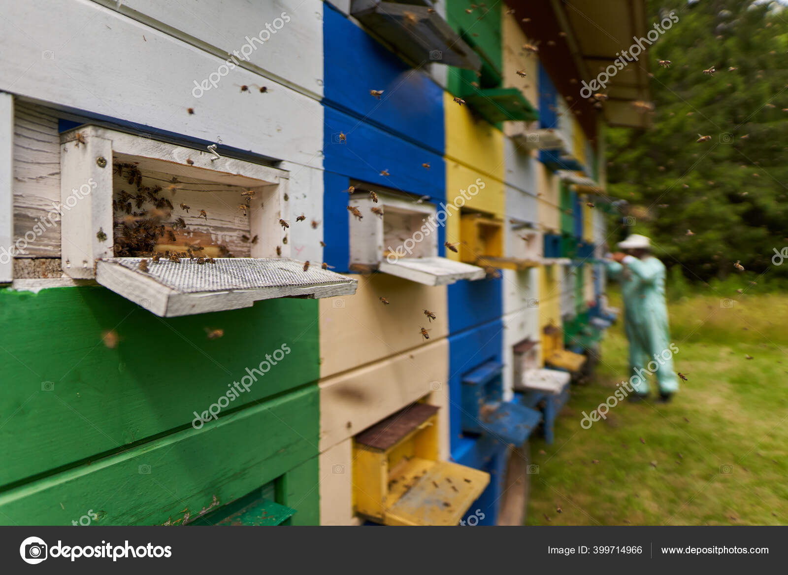 Beekeeper Overall Protective Gear Checking Hives His Lorry — Stock ...