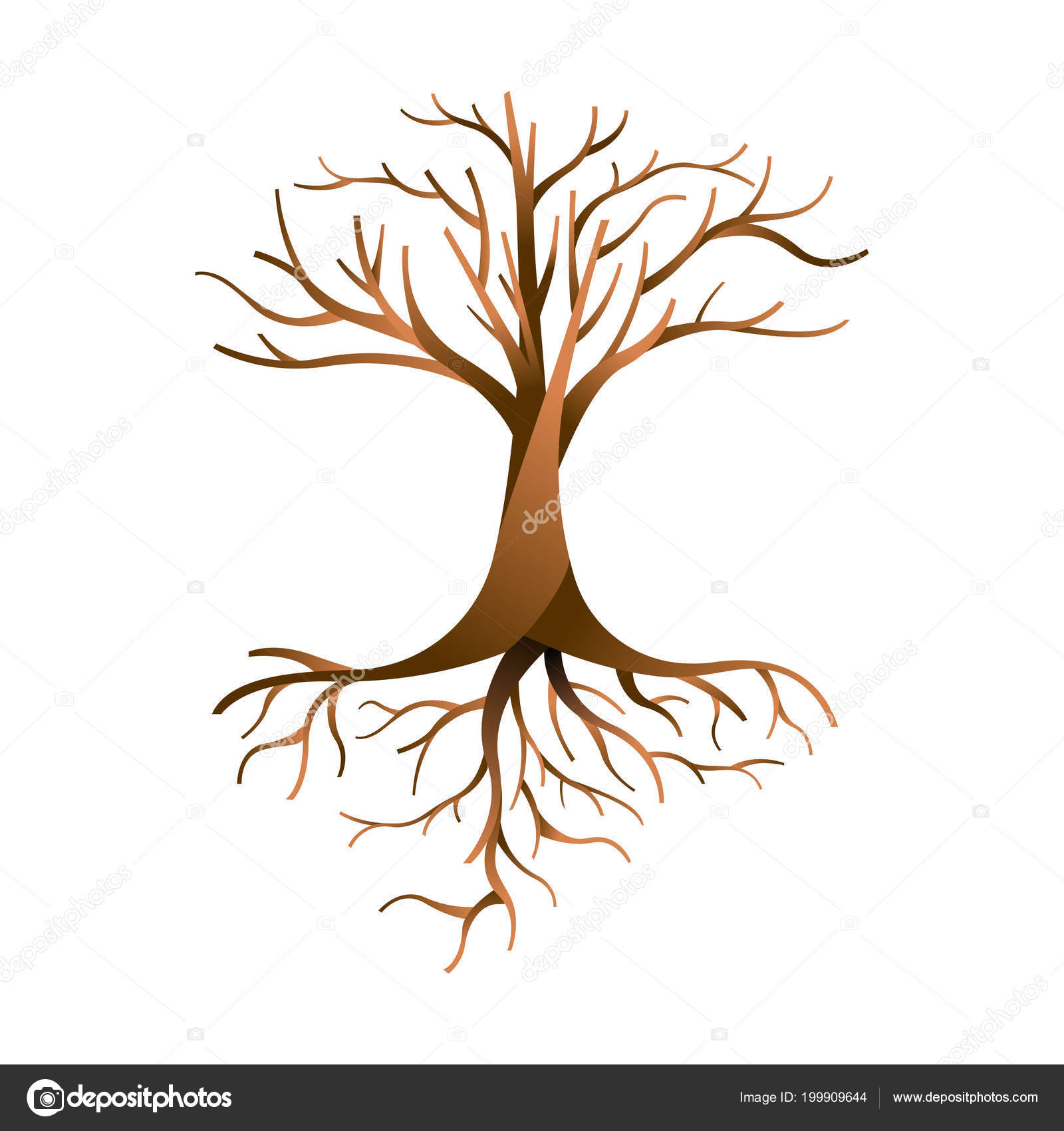Tre Med Røtter Omriss