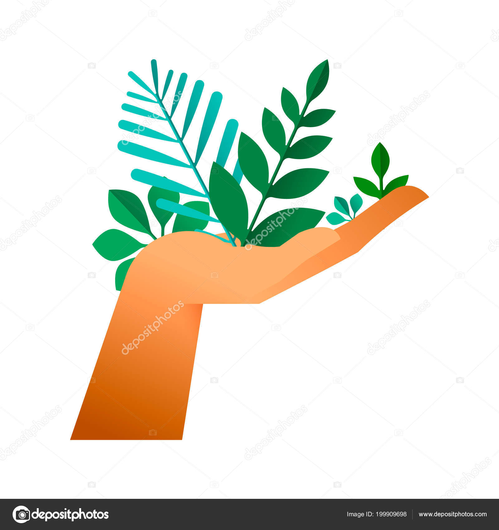 Human Hand Holding Green Leaves Cupping Gesture Isolated Background Nature Stock Illustration by ...