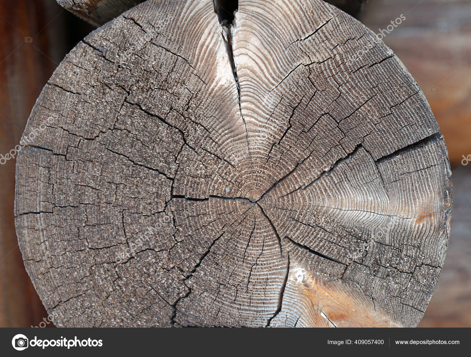 Close Wooden Cut Texture Stock Photo by ©Irishka1 409057400