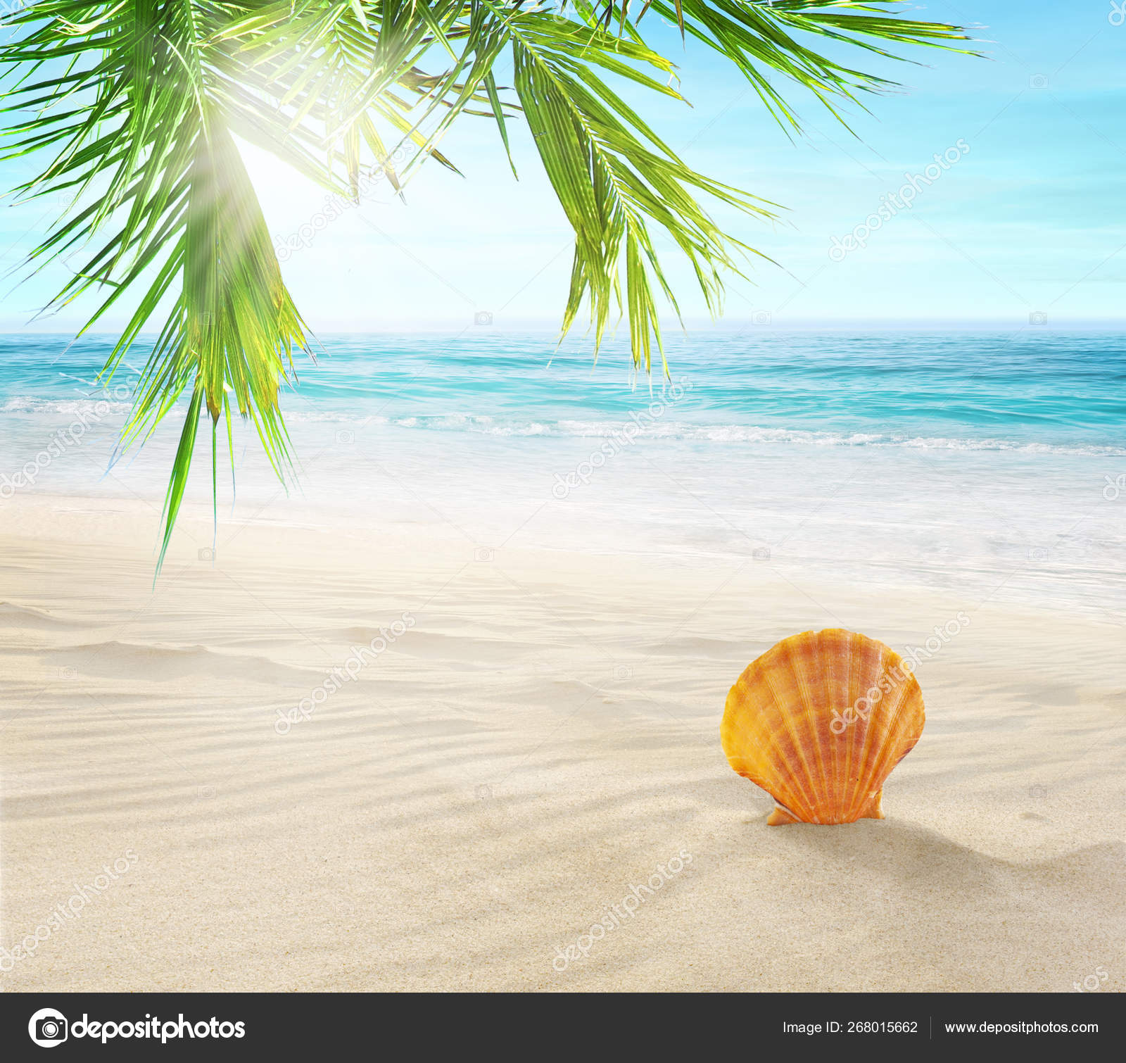 Seashell Sand Coconut Palms Tropical Beach — Stock Photo © silvae ...