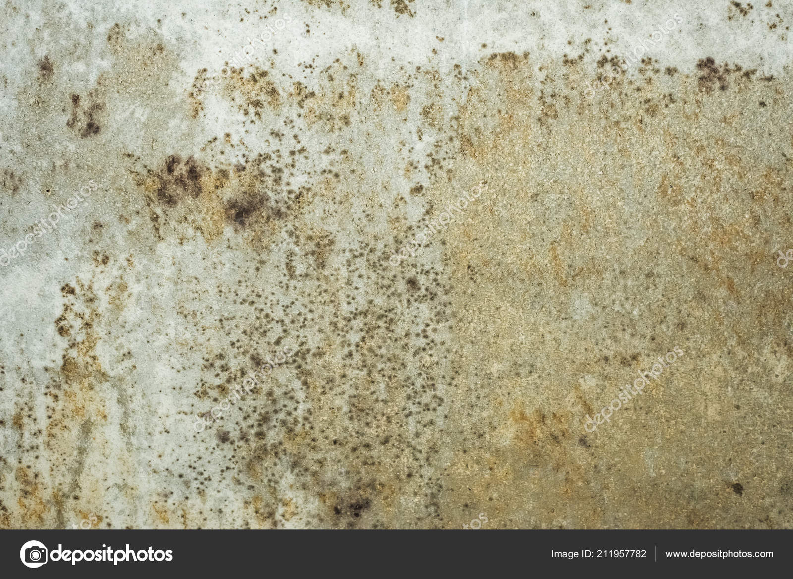 Mildewed Wall Background Grunge Texture Dirty Cement Wall Stock Photo ...