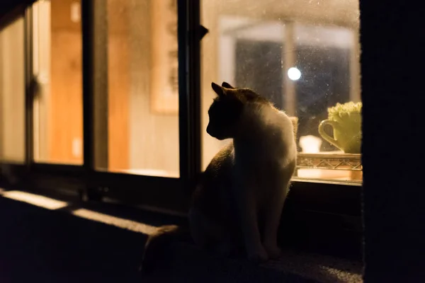 Cozy exploration Stock Photos, Royalty Free Cozy exploration Images ...