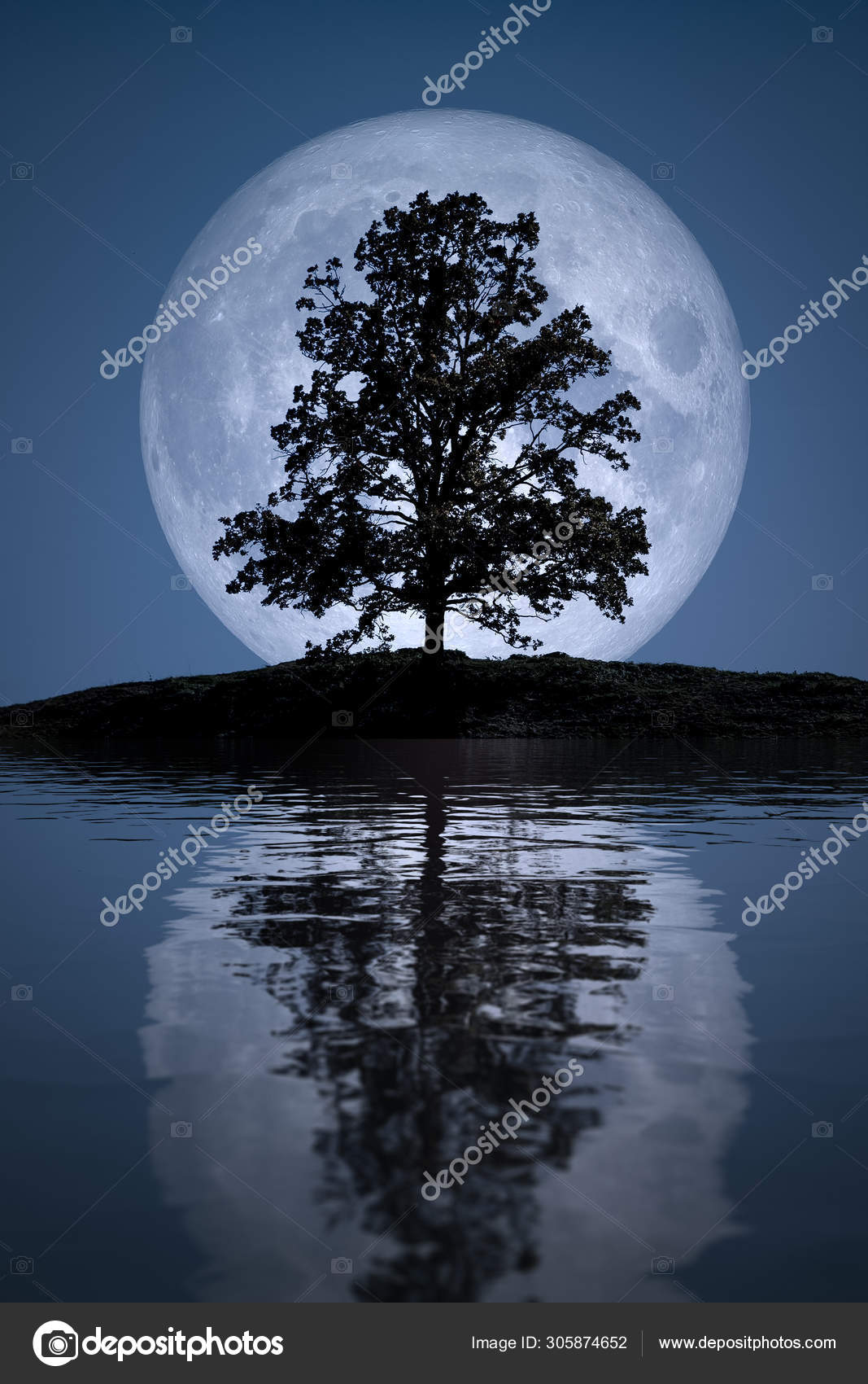 Beautiful Full Moon Photography