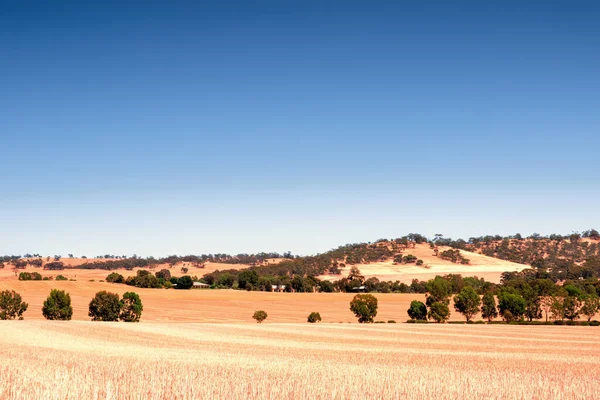 Farming australia Stock Photos, Royalty Free Farming australia Images ...