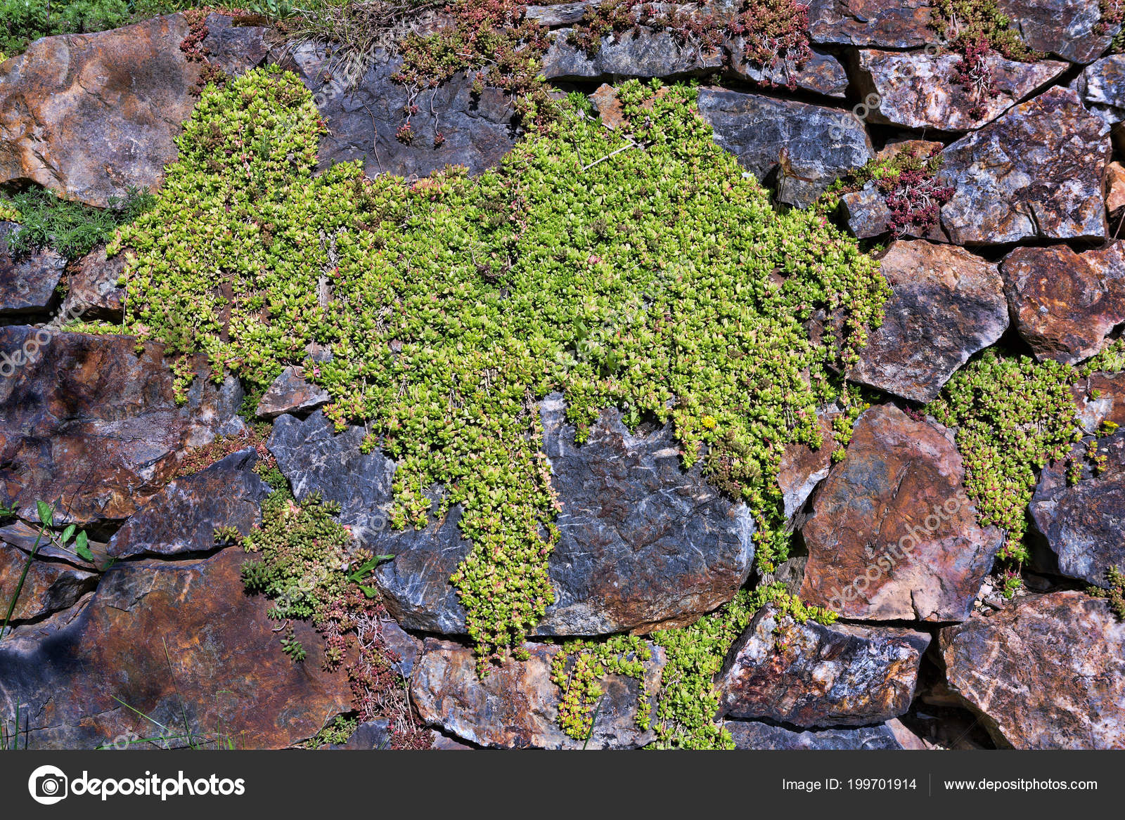 Grass Rocks Form Map Eurasia — Stock Photo © Ruslan #199701914