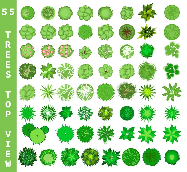 A set of treetop symbols, for architectural or landscape design — Stock ...