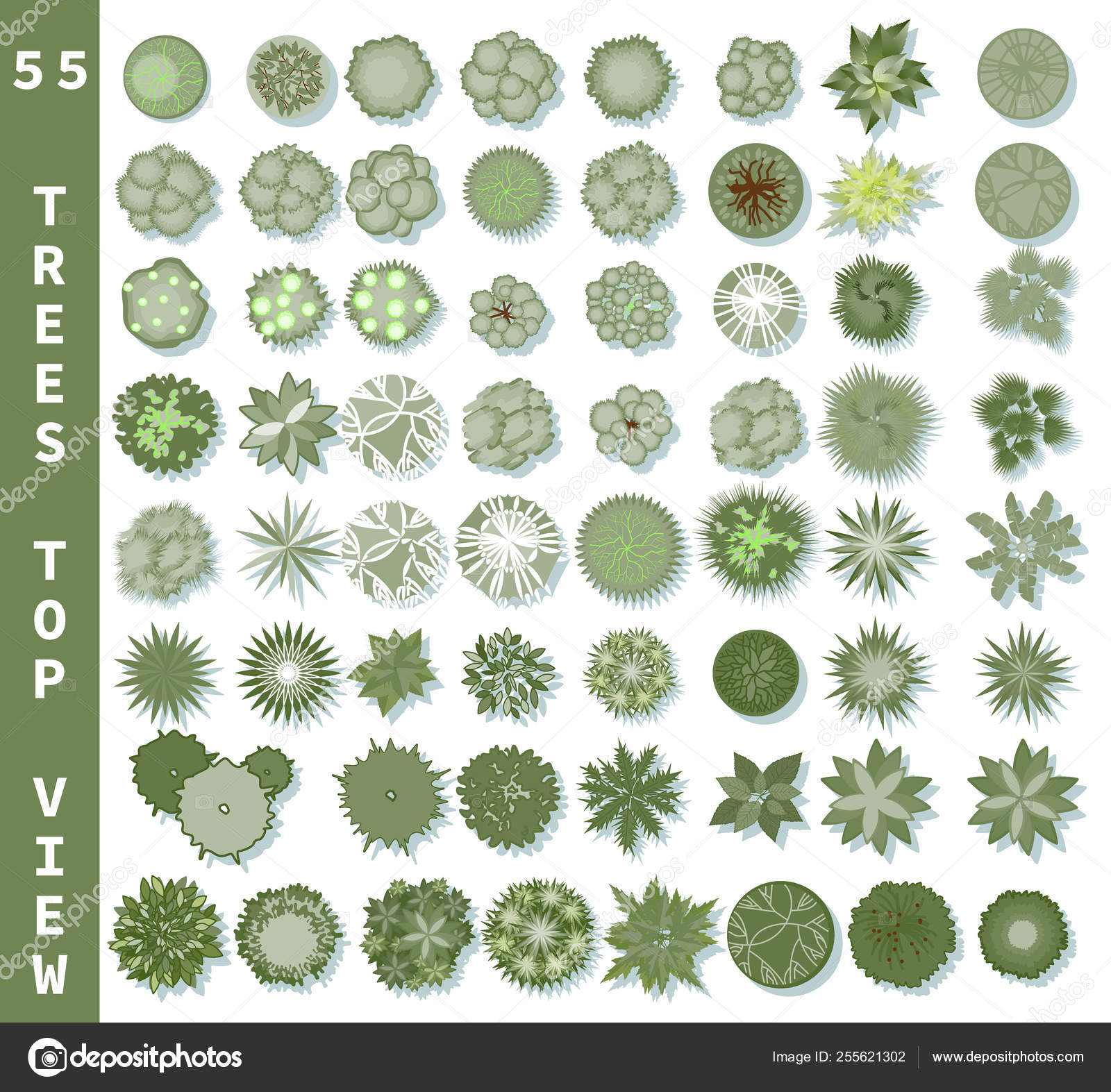 Different Trees Top View View Set Architectural Landscape Natural Green ...