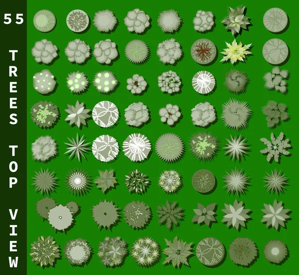 Trees top Vector Art Stock Images | Depositphotos