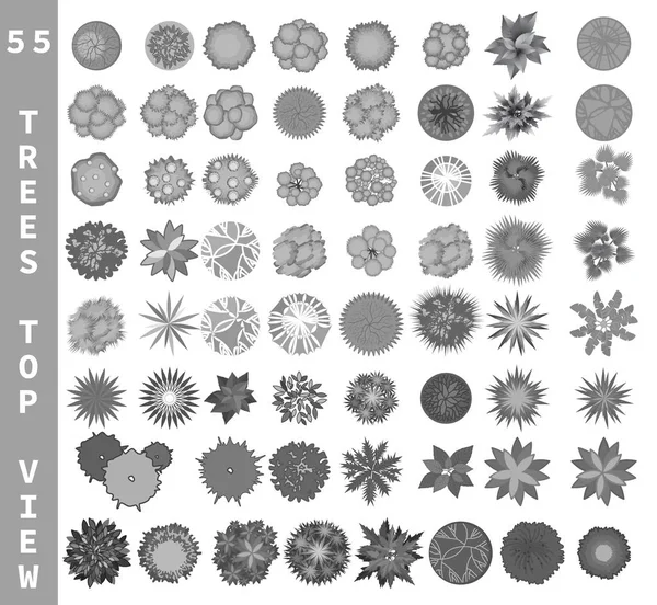 Trees top Vector Art Stock Images | Depositphotos