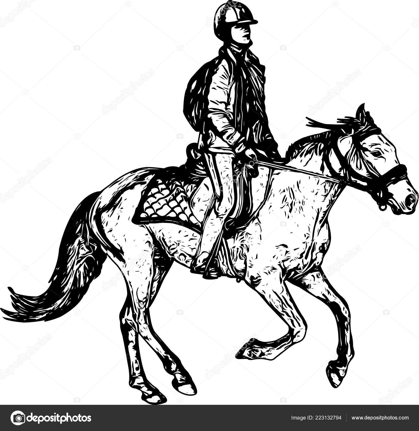 Horse riding sketch drawing Stock Vector Image by ©bokica #223132794