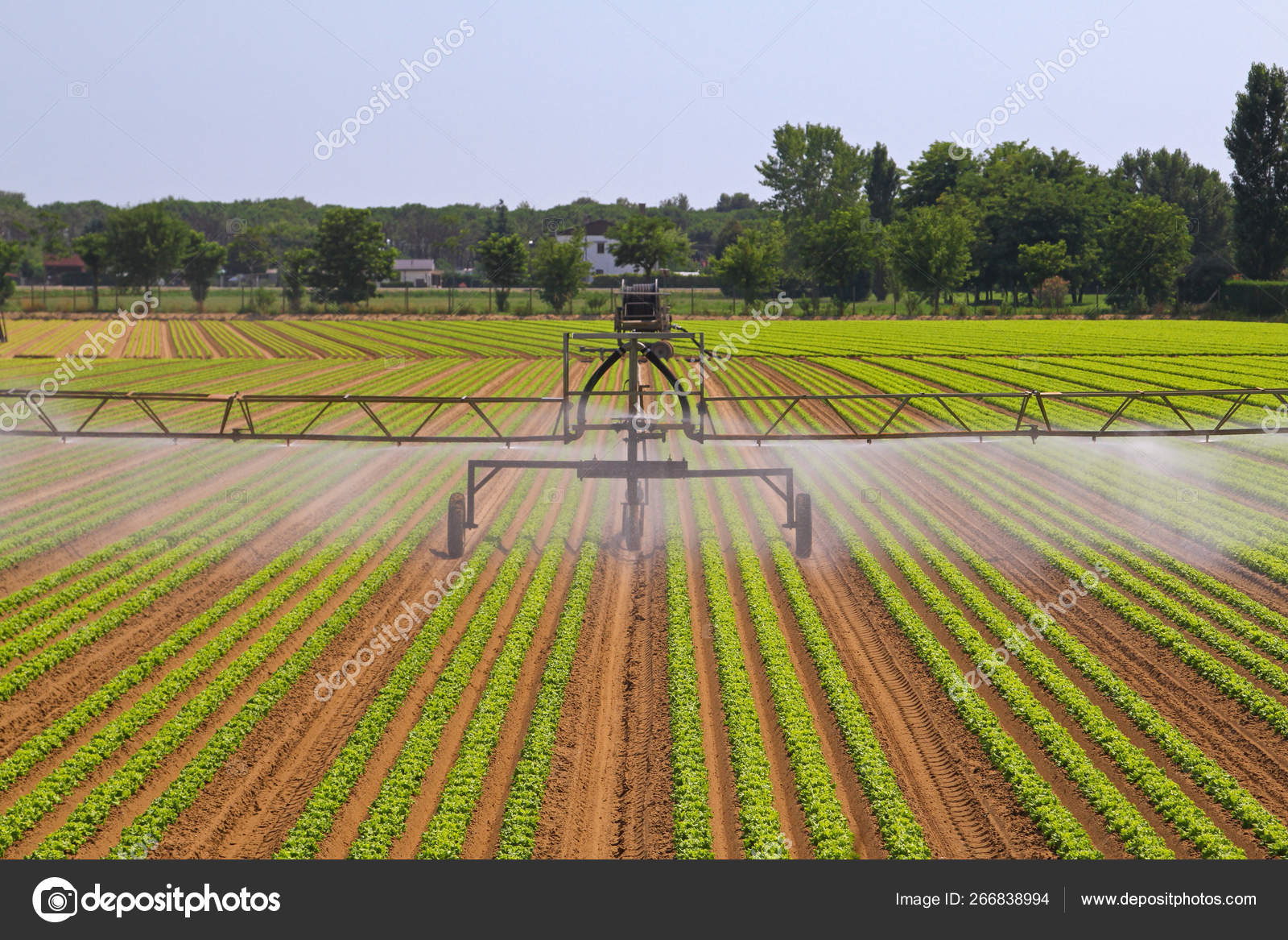 Field Irrigation Stock Photo by ©Baloncici 266838994