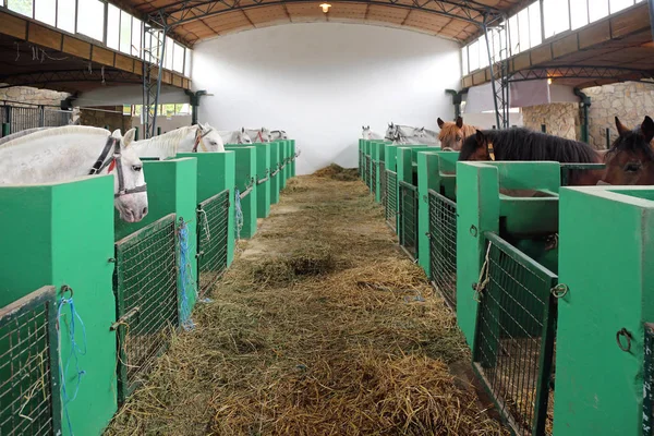 Manger stable Stock Photos, Royalty Free Manger stable Images ...